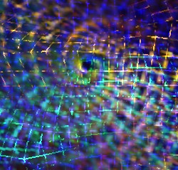 Really Slick Screensavers GLX Port: Screen Shots